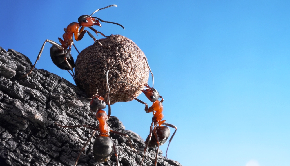 Siete personas que saben triunfar - BLOG | Utel